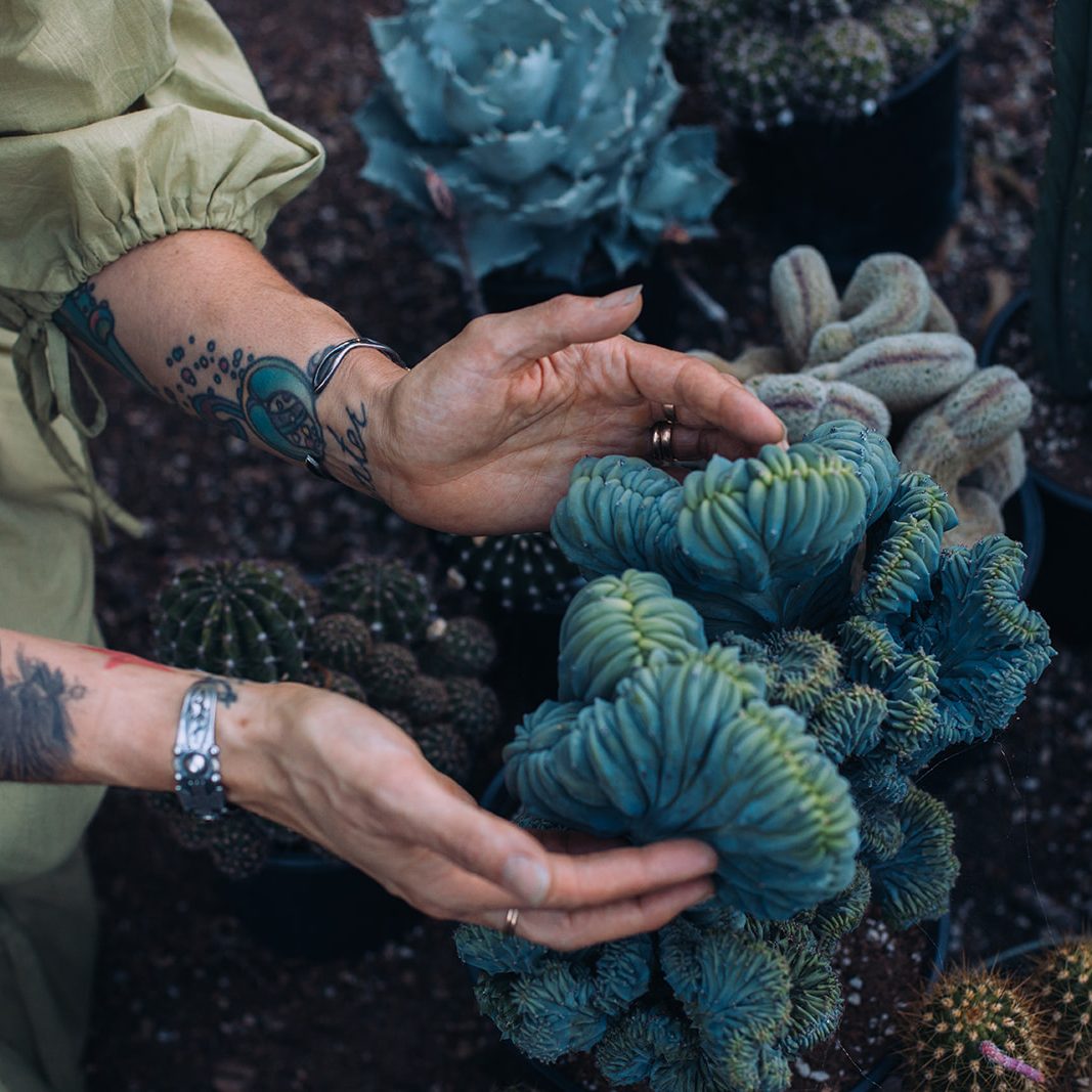 Facilitator Training - Healing Codependency with Erika Wright